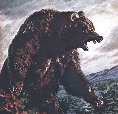 Biggest Grizzly Bear Ever Shot