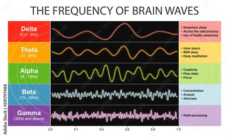 Different Kinds Of Waveforms Are Produced By Brain Activity