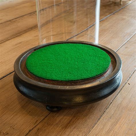 Small Antique English Display Dome For Sale At Pamono