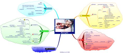 Mind Map Of Meningitis