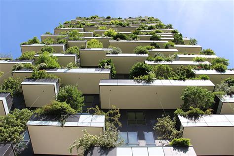What Is Biophilic Architecture Seven Main Principles