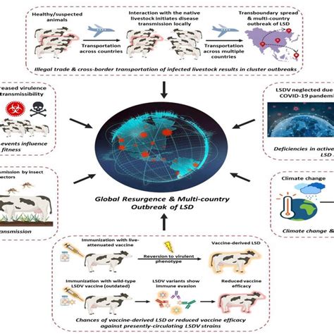 The Structure Of Lsdv The Mature Virus Mv Exhibits Host Er Derived Download Scientific