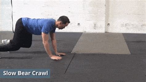 Bear Crawl Workout Eoua Blog