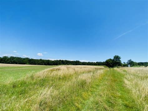 Poljoprivredno Zemljište Kupinec 7997 M2