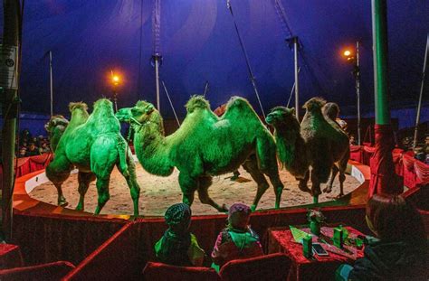 Circus Robini Hereinspaziert In Schmalkalden Schmalkalden