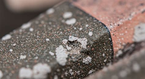 Substitutability → Term