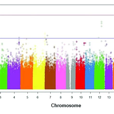 Biorepository Flow Diagram Process Of Sample Acquisition To Sample