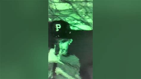 Peysoh Unreleased Youtube