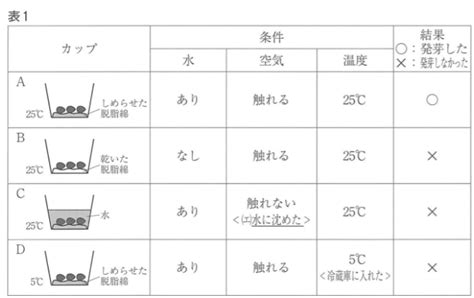 種子の発芽の条件（2017年山口） 中学理科応援「一緒に学ぼう」ゴッチャンねる