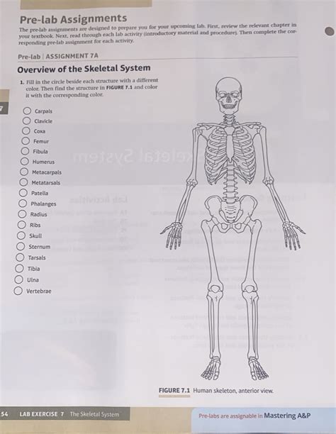 Solved Pre Lab Assignmentsthe Pre Lab Assignments Are