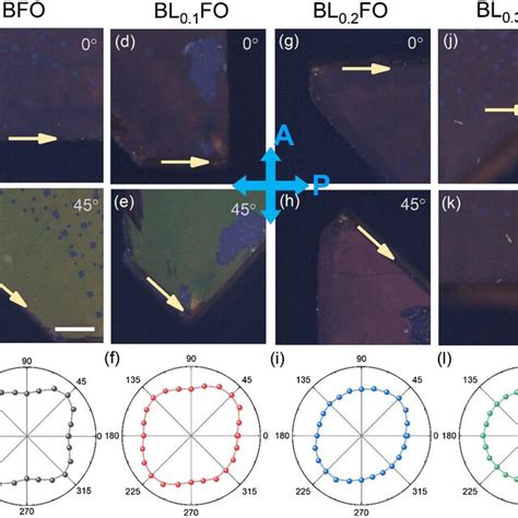 Photos Of Reflected Polarized Light Microscopy At Different Azimuth