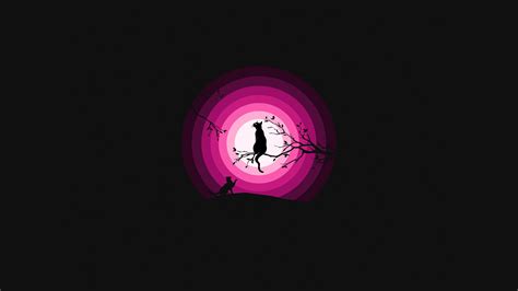 1366x768 Cats Moon Pink Silhouette 5k Laptop Hd Hd 4k Wallpapers Images Backgrounds Photos And