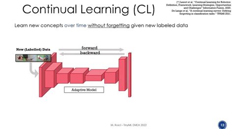 tinyml emea 2022 manuele rusci continual on device learning on multi