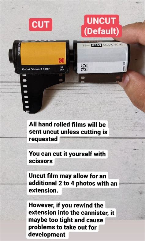 Fresh Kodak Ektachrome 100d Kodak 5294 Slide Film Photography