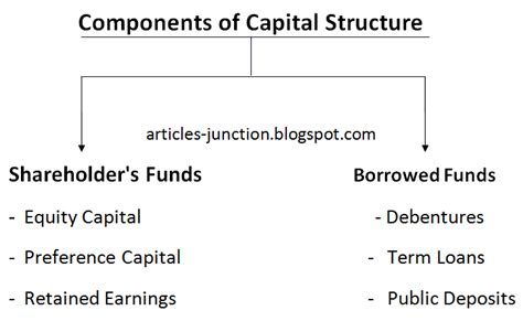 Articles Junction Components Of Capital Structure With Diagram