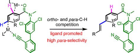 Ligand Promoted Pd Catalyzed High Para Selective C H Olefination Organic Letters