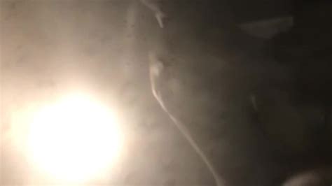 My Friend Ask For Back Shot While Hes In The Next Room