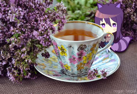 An Aesthetically Pleasing Tea Offering Entices A Wild Neko Yuri Ddlc