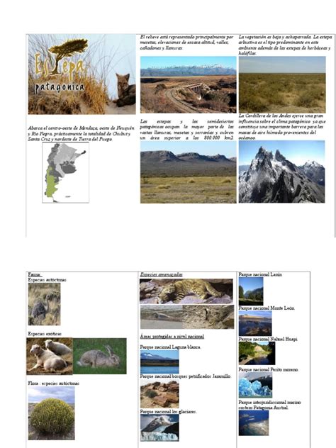 Flora Y Fauna De La Estepa Patagónica Pdf Ciencias De La Tierra