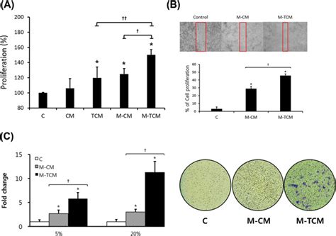 Proliferation And Invasion Of Prostate Stromal Cells Induced By Mast