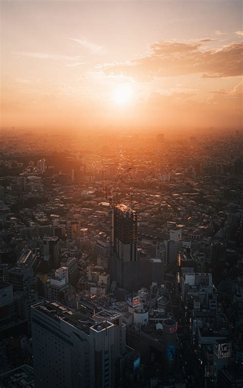 Tokyo Sunset From Shibuya Sky On Behance