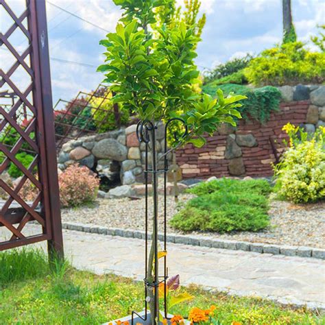 Suport Grădină Copac Mic Din Oțel 120 Cm