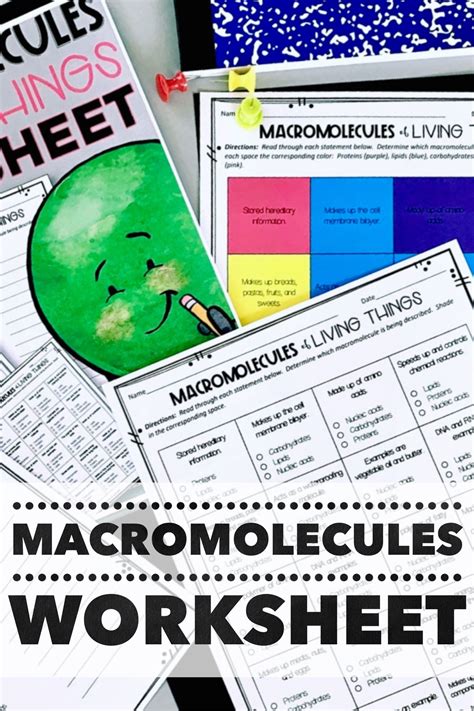 Macromolecules Worksheet Activity With Differentiation For Assessment Or Review Macromolecules