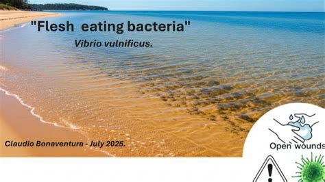 The Flesh Eating Bacteria A Growing Risk In Us Coastal Waters