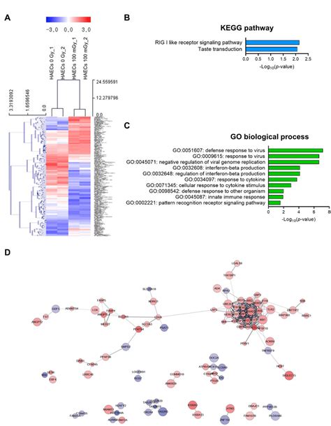 Deg Analysis Of Low Dose Radiation Related Degs In Normal Haecs A