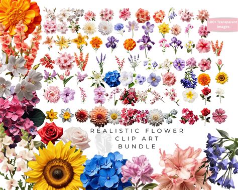 Realistic Flower Clipart Png Bundle Over 100 Images Etsy
