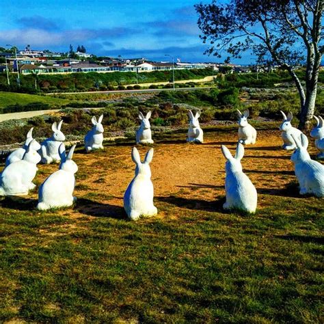 Bunnyhenge Newport Beach Rorangecounty