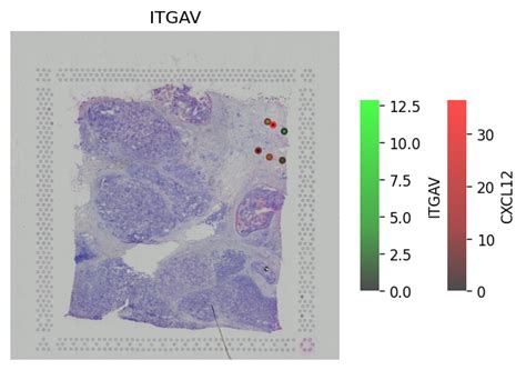 Cell Cell Interaction Analysis Stlearn Documentation