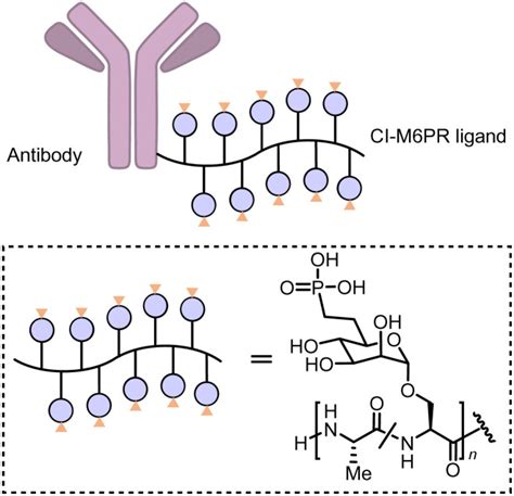 Emerging Degrader Technologies Engaging Lysosomal Pathways Pmc