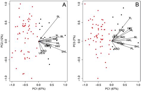 Principal Components Analysis For 13 Morphometric Characters From Adult