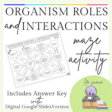 Maze Organism Roles And Interactions Worksheets Library