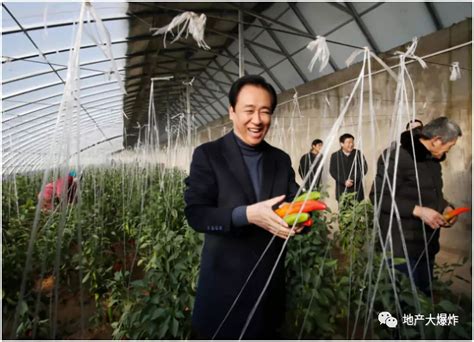 丁玉梅恒大丁玉梅熙芸大山谷图库