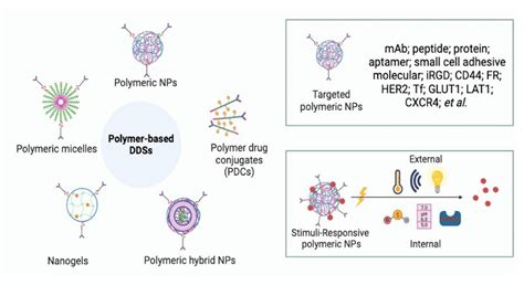 Polymer Based Nanoparticle Delivery System Platforms Nucleic Acid
