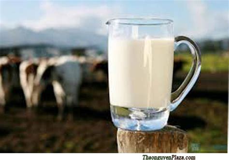 Sữa Tươi Ba Lan Laciate Tách Béo 05 Mleko Uht Hộp 1l