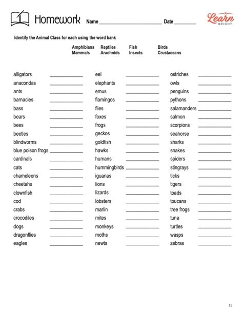 Animal Classification Worksheets Library