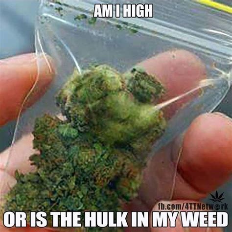 69 Weed Memes That Rip Harder Than Your Bong Artofit