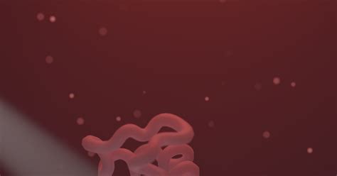 New Algorithm Complements Protein Models International Sciencelink