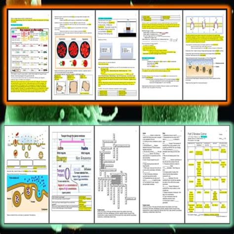 Free Cell Transport Work Bundle Osmosis Diffusion And Active Tpt