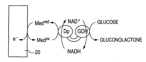 Enzyme Electrode Patented Technology Retrieval Search Results Eureka