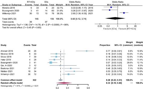Figure 2 From The E Cacy And Safety Of Immunotherapy And Palliative