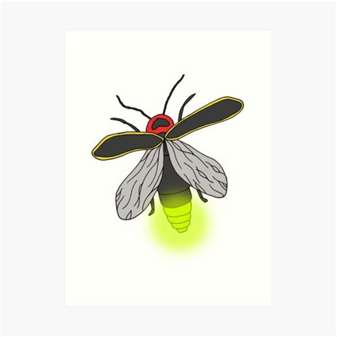 Free Lighting Bug Clip Art Download Free Lighting Bug Clip Art Png