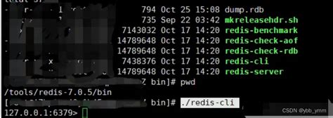 Redis命令及其数据类型详解redis Bin 目录下哪些是数据文件 Csdn博客 Redis命令及其数据类型详解redis Bin 目录下哪些是数据文件 Csdn博客