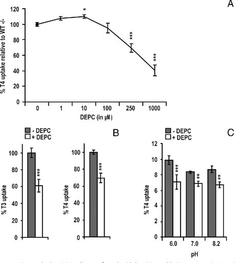 Figure 1 From Importance Of His192 In The Human Thyroid Hormone Transporter Mct8 For Substrate