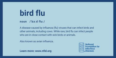 Bird Flu Social Media Graphics