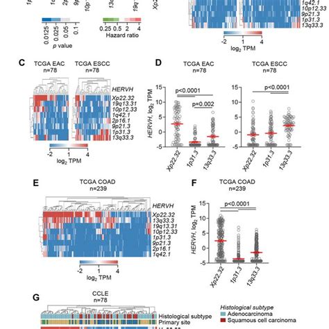 Aberrant Rna Splicing In The Eac Transcriptome A Schematic R Epr