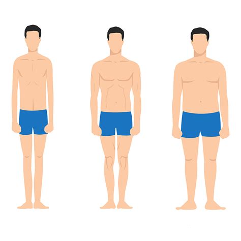 Hiit Workouts For Endomorph Body Type